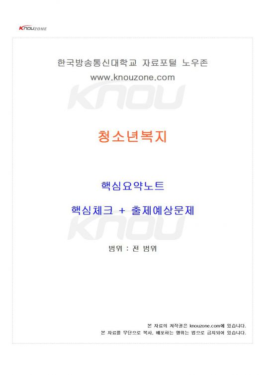 2014년 1학기 청소년복지 교재전범위 핵심요약노트