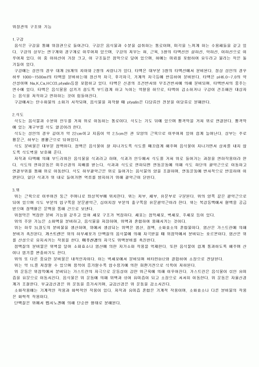 위장관 구조 레포트 자료