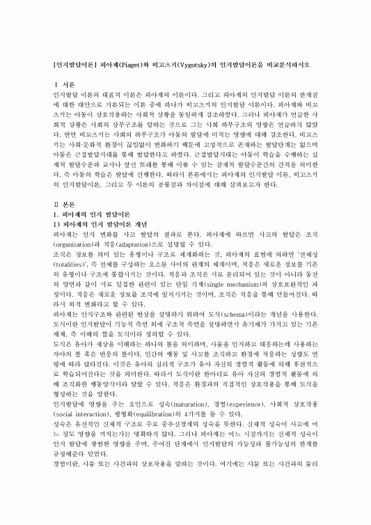 [인지발달이론] 피아제(Piaget)와 비고츠키(Vygotsky)의 인지발달이론을 비교분석