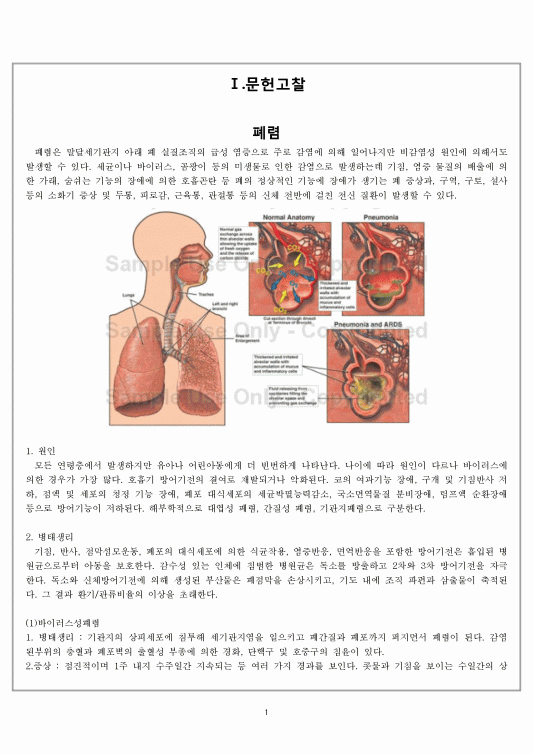 아동 폐렴(pneumonia) 케이스 스터디