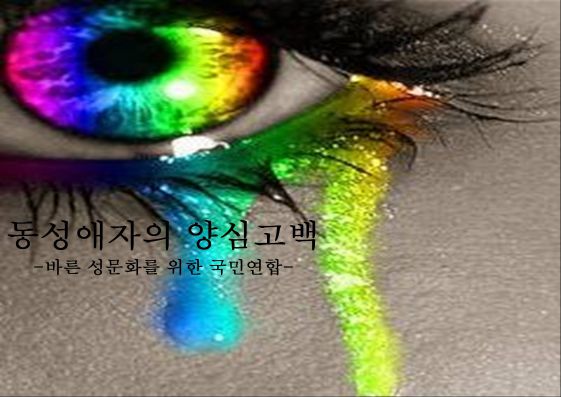 바른 성문화를 위한 국민연합 분석 발표자료