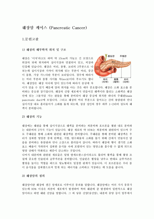 췌장암(Pancreatic Cancer) 케이스 스터디(case study)