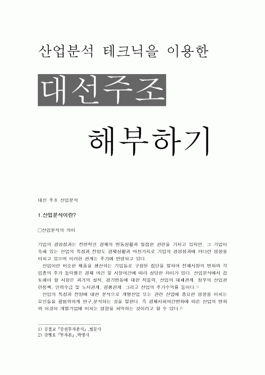 산업분석 테크닉을 이용한 ≪대선주조 해부하기≫