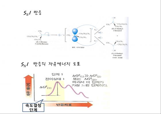 6쪽 미리보기