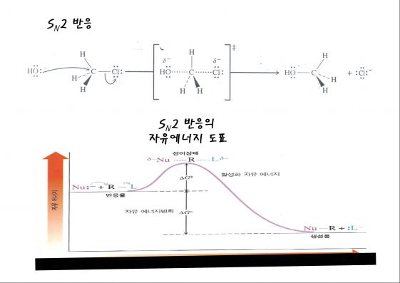 8쪽 미리보기