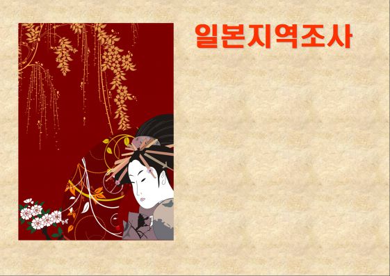 일본지역조사 (아사쿠사, 시부야, 아메요코, 홋가이도, 오사카, 오키나와, 교토).ppt
