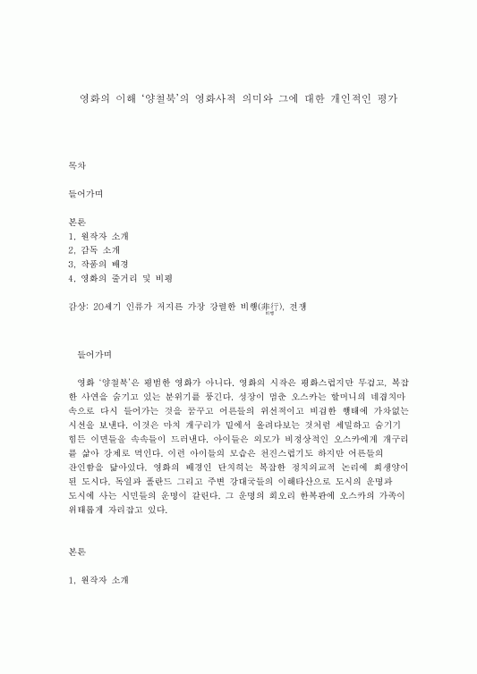 방통대 대중영화의 이해 - 영화 : 양철북