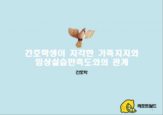 간호학 - 간호학생이 지각한 가족지지와 임상실습만족도와의 관계