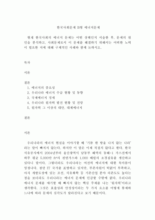 한국사회문제 B형 에너지문제