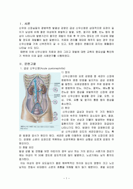 신우신염 레포트 자료