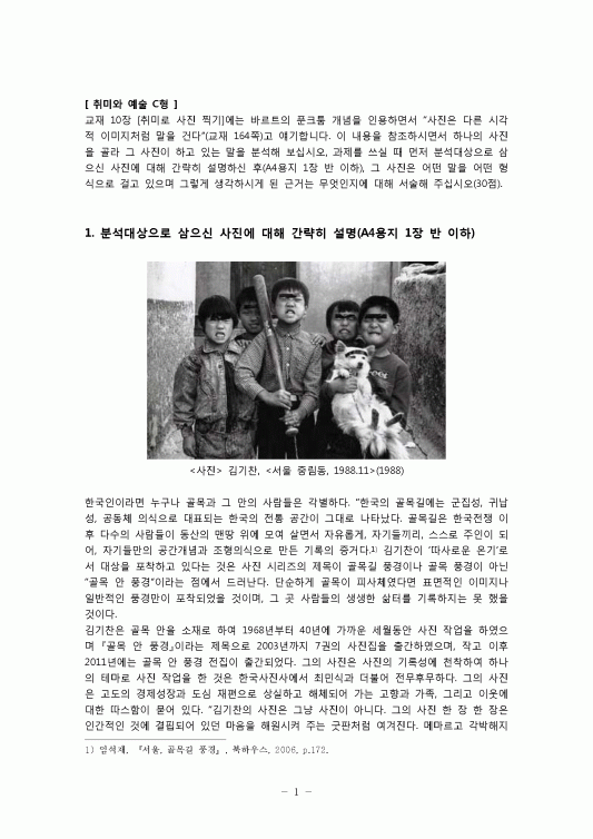 [취미와 예술 C형] 하나의 사진을 골라 그 사진이 하고 있는 말을 분석, 간략히 설명, 그 사진은 어떤 말을 어떤 형식으로 걸고 있으며 그렇게 생각하게 된 근거