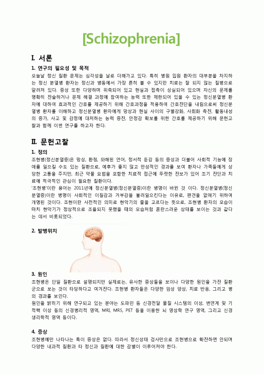 Schizophrenia 조현병 간호과정, 조현병 사례연구, 스키조프레니