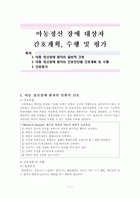 아동정신 장애 대상자 간호계획, 수행 및 평가