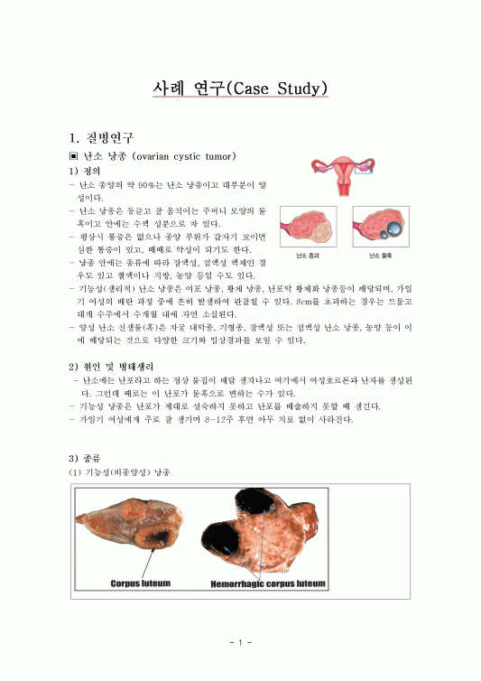 여성간호학 모성간호학 실습 난소 낭종 (ovarian cystic tumor) + 복강내 출혈 케이스 스터디