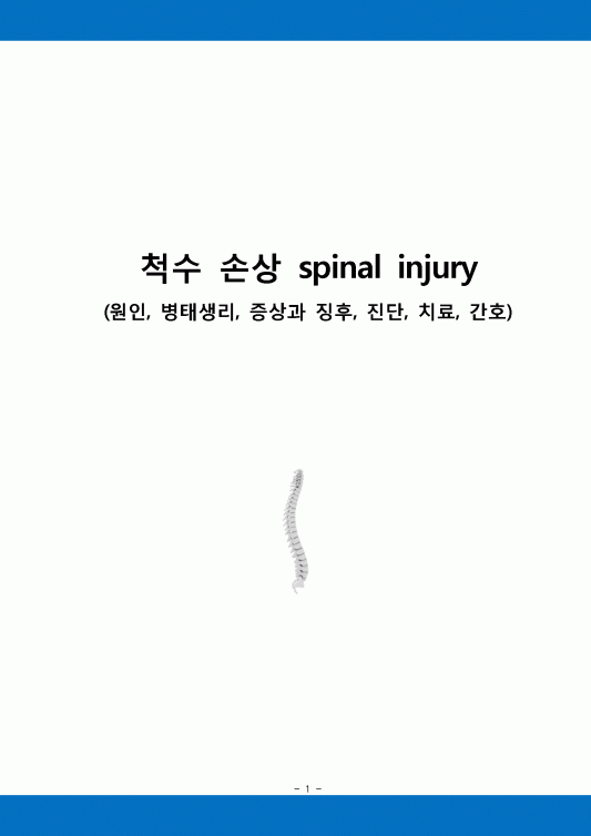 척추 손상 spinal injury (척추 손상 원인, 척추 손상 병태생리, 척수 손상 증상과 징후, 척수 손상 진단, 치료, 간호)