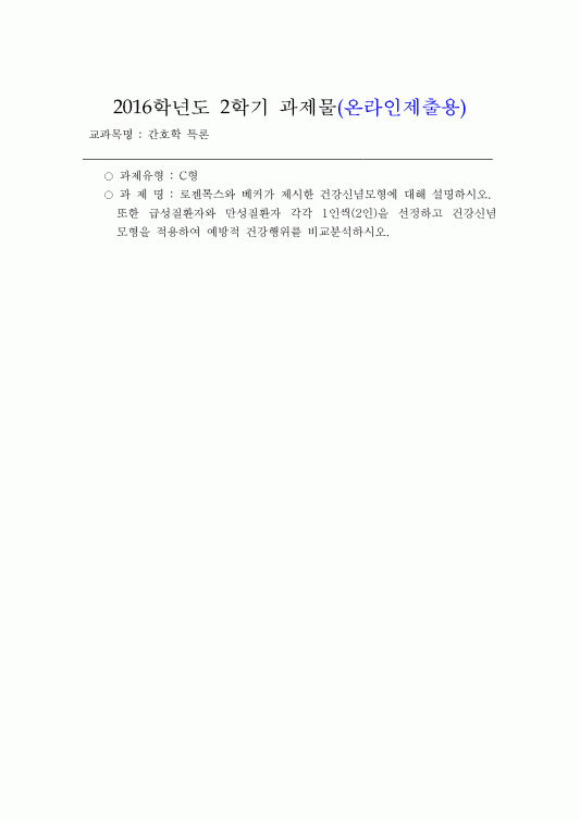 간호학특론 레포트 C형