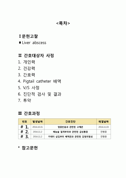 [성인간호학 실습] 간농양case (염증반응과 관련된 고체온, 배농술 절개부위와 관련된 급성통증, 카테터 삽입부위 배액관과 관련된 감염위험성