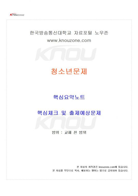 2017년 2학기 청소년문제 교재 전 범위 핵심요약노트