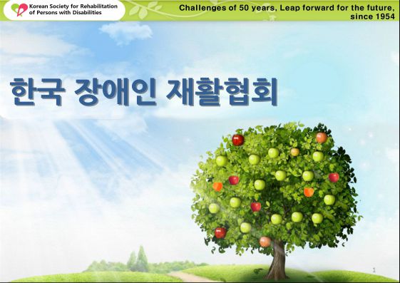 한국 장애인 재활협회