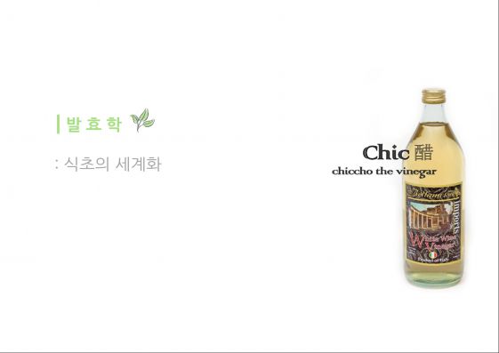 발효학식초의 세계화식초의 효능식초 건강감식초 식초발효식초발효화장품