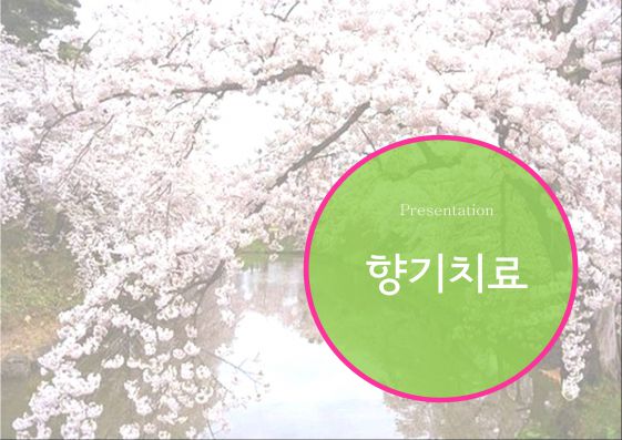 향기요법이란향기요법의 역사흡입법마사지요법증기요법목욕법스팀법