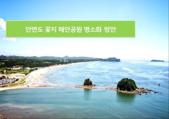 안면도 꽃지 해안공원 명소화 방안