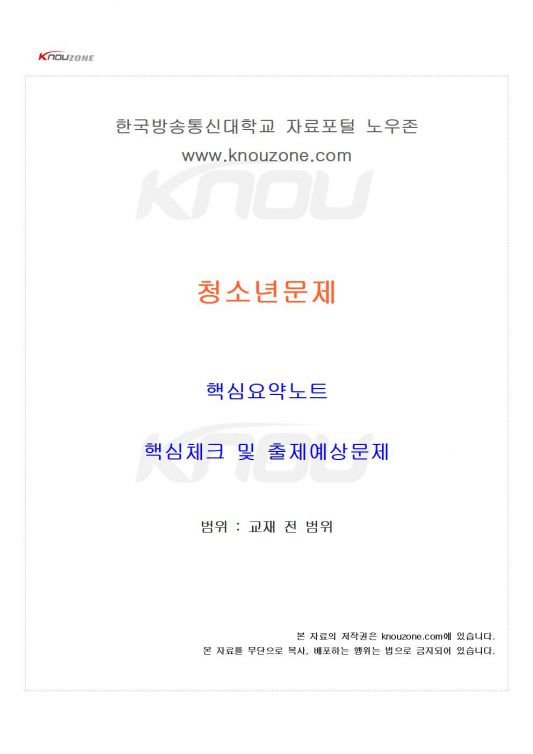 2018년 2학기 청소년문제 교재 전 범위 핵심요약노트