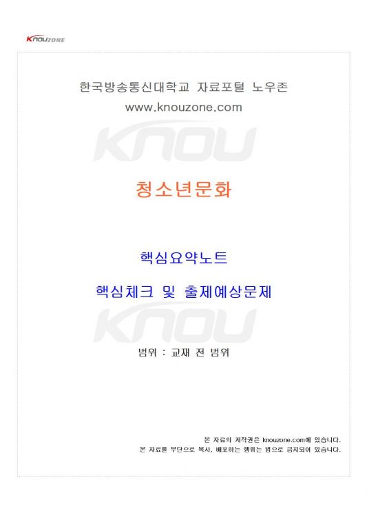 2019년 1학기 청소년문화 교재전범위 핵심요약노트