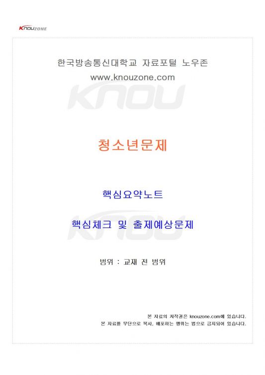 2019년 2학기 청소년문제 교재 전 범위 핵심요약노트