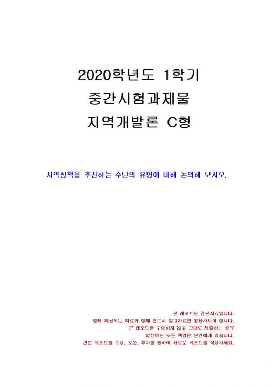 2020년 1학기 지역개발론 중간시험과제물 C형(지역정책을 추진하는 수단의 유형)