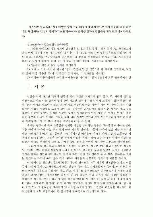 청소년인성교육3공통) 다양한방식으로 외부세계연결감느끼고이를통해 자신의존재감확장하는 인성덕목이자기초월덕목이다 감사증진자신경험을구체적으로제시하시오0k