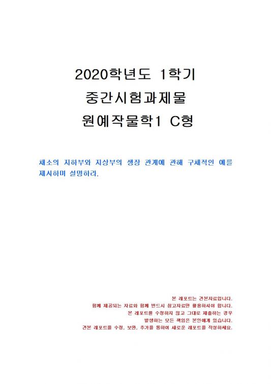 2020년 1학기 원예작물학1 중간시험과제물 C형(채소의 지하부와 지상부의 생장 관계)