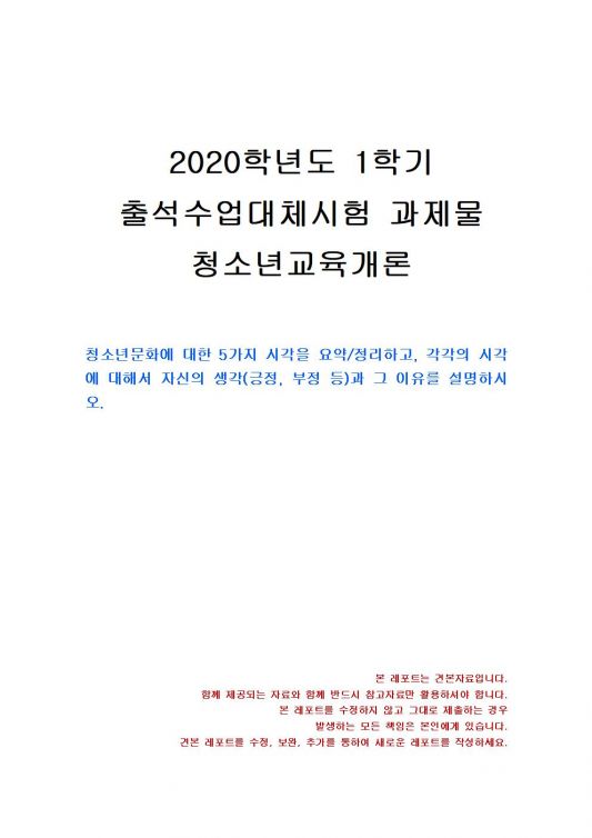 2020년 1학기 청소년교육개론 출석수업대체시험 과제물(청소년문화에 대한 5가지 시각)