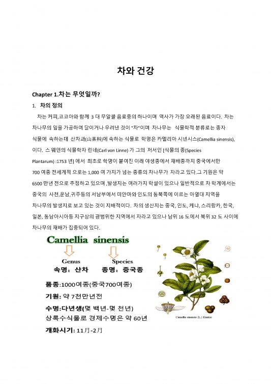 차의 기원 레포트 자료