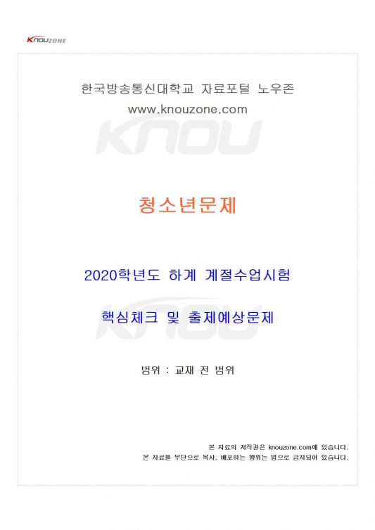2020년 청소년문제 하계계절시험 핵심체크