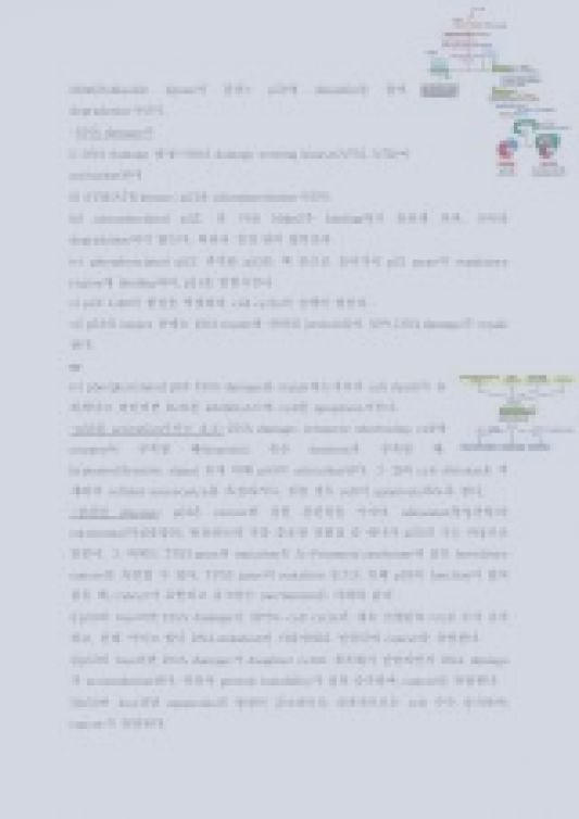 11쪽 미리보기