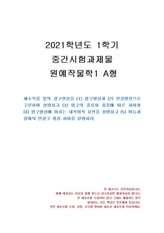 2021년 1학기 원예작물학1 중간시험과제물 A형(채소작물 잎의 결구현상)