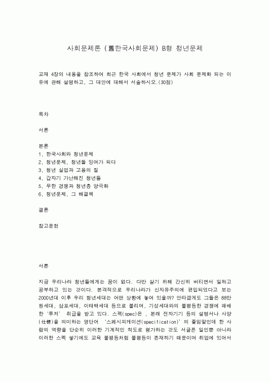 사회문제론 (舊한국사회문제) B형 청년문제