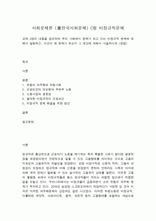 사회문제론 (舊한국사회문제) C형 비정규직문제