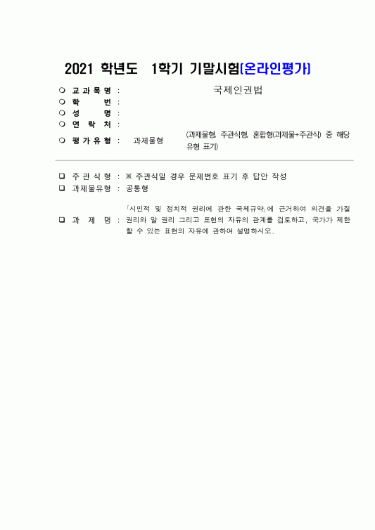 국제인권법 레포트 자료