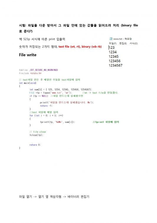 [대학 프로그래밍 C언어] 12. 파일 입출력
