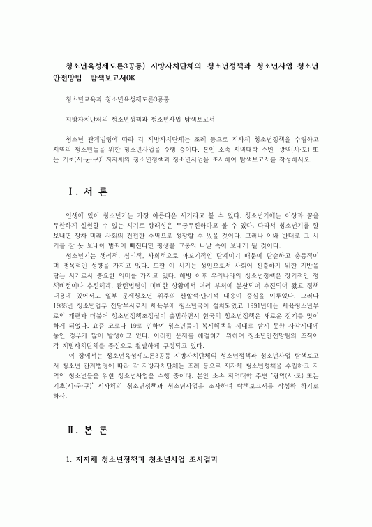 청소년육성제도론3공통) 지방자치단체의 청소년정책과 청소년사업-청소년안전망팀- 탐색보고서0K
