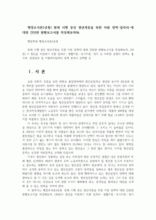 행정조사론2공통) 현재 시행 중인 청년계층을 위한 지원 정책에 대한 간단한 현황보고서를 작성해보자0k