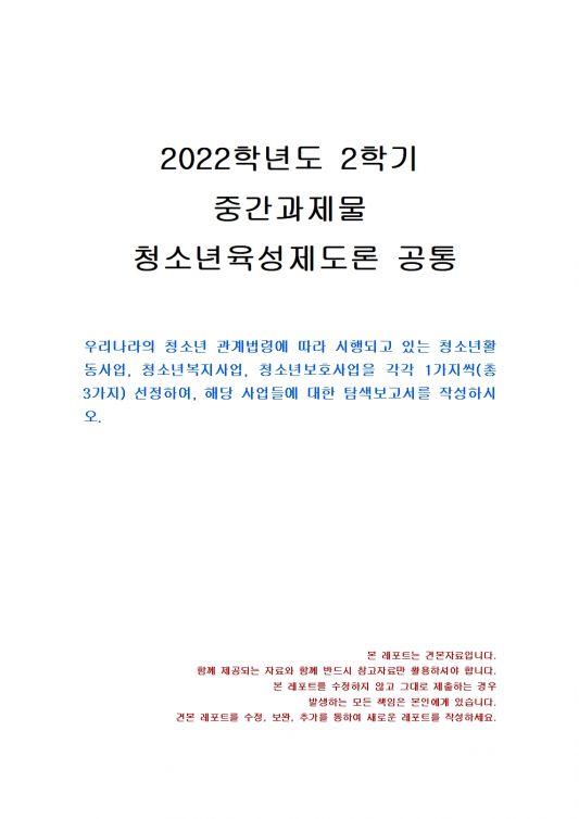2022년 2학기 청소년육성제도론 중간시험과제물 공통(청소년 사업 탐색보고서)