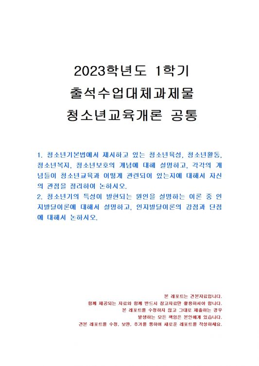 2023년 1학기 청소년교육개론 출석수업대체시험 과제물(청소년기본법, 인지발달이론)