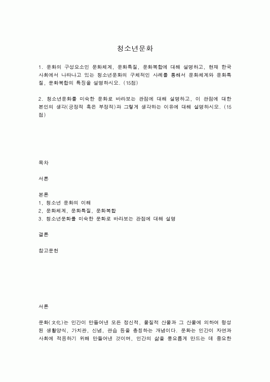 청소년문화 레포트 자료