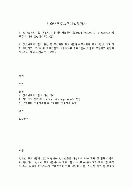 청소년프로그램개발및평가