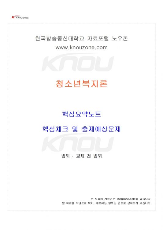 2024년 1학기 청소년복지론 교재 전 범위 핵심요약노트