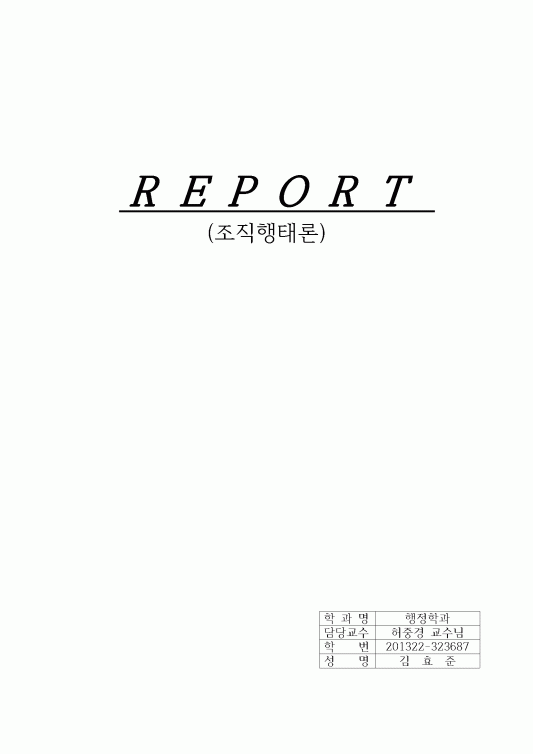 조직형태론 레포트 자료