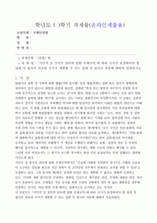 국제인권법 레포트 자료
